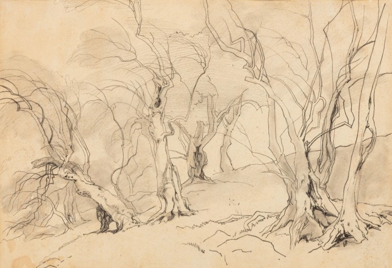 Edward Lear, Trees at Tivoli | A Blog of Bosh